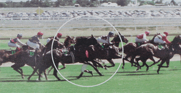 GIF mrc - animated GIF on GIFER