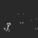 Grayscale GIF - Find on GIFER