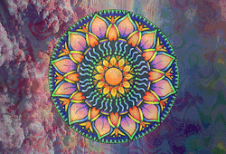 Trip GIF - Find on GIFER