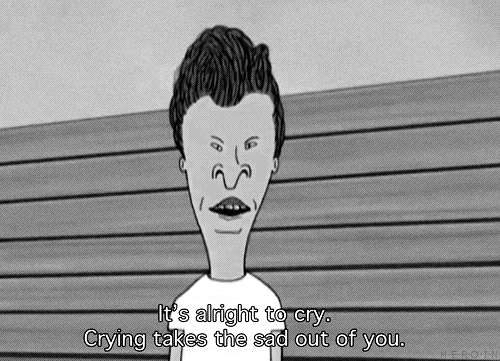 Words idiot GIF - Find on GIFER