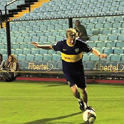 Stadium GIF - Find on GIFER
