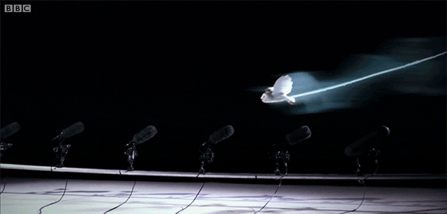Other GIF - Find on GIFER