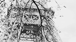 Fitness GIF - Find on GIFER