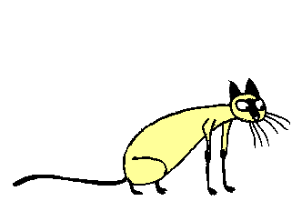 Gatos GIF - Find on GIFER