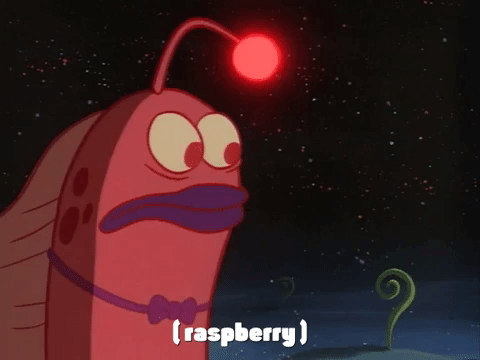 Jerry Springer Audience Gif