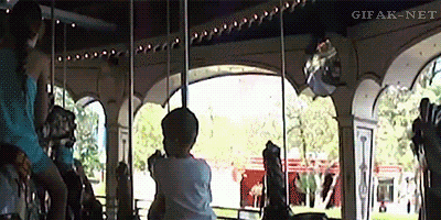 Squirrel dizzy GIF - Find on GIFER