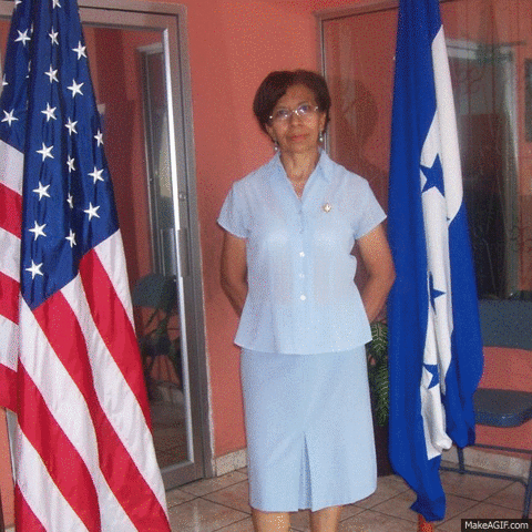 Albert einstein GIF - Find on GIFER