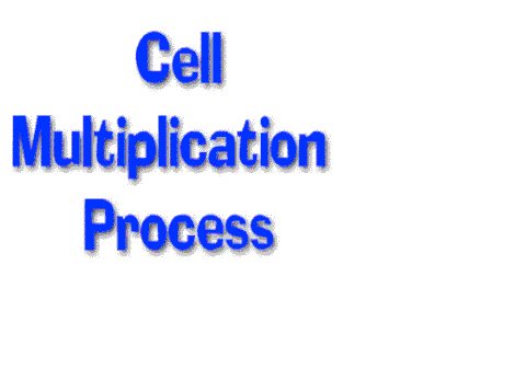 Cell animation GIF - Find on GIFER