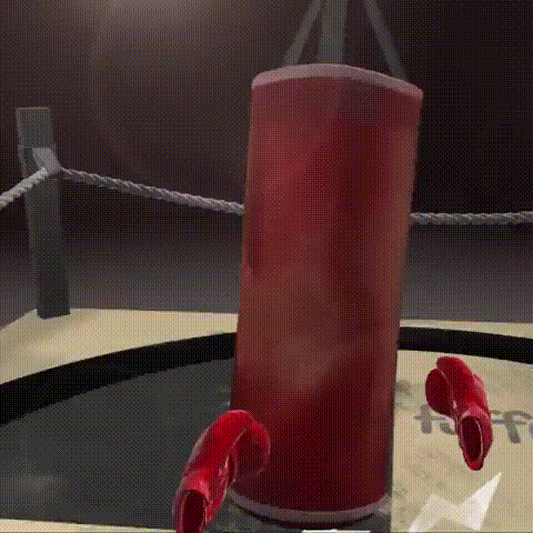 Boxing GIF - Find on GIFER