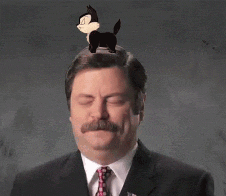 Okay GIF - Find on GIFER
