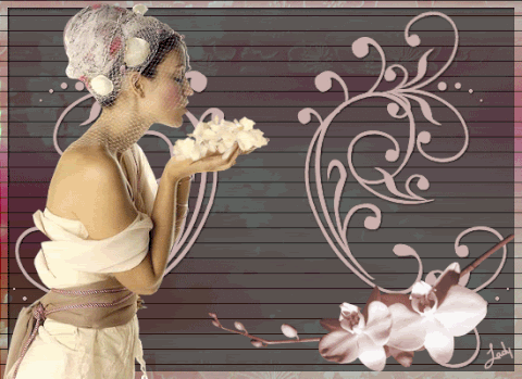 Miscellaneous GIF - Find on GIFER