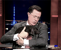Wwe countdown GIF - Find on GIFER