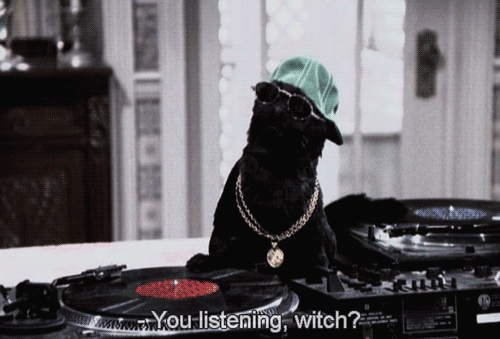 Dog Listening To Music Gif