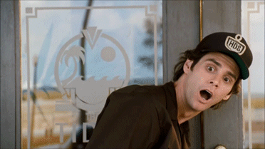 Everyone comedian GIF - Find on GIFER