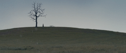 True grit GIF - Find on GIFER