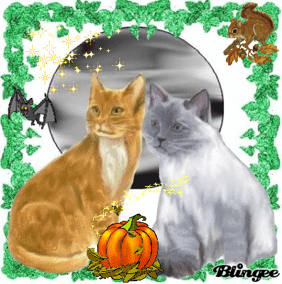 GIF la roux - animated GIF on GIFER