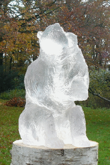 Polyester GIF - Find on GIFER