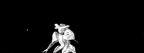 GIF born this way ball - animated GIF on GIFER