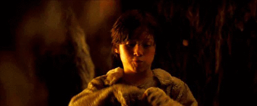 GIF wild - animated GIF on GIFER