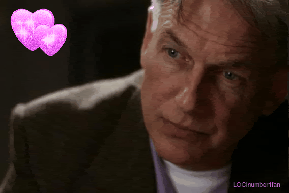 Ncis GIF - Find on GIFER