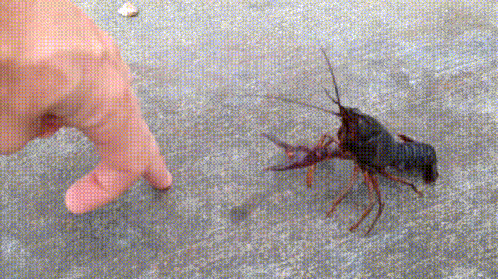 Battery GIF - Find on GIFER