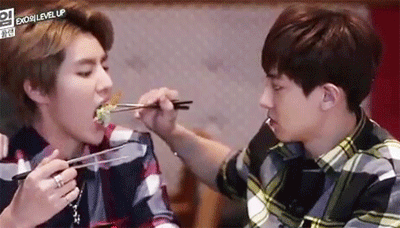 Feeding GIF - Find on GIFER