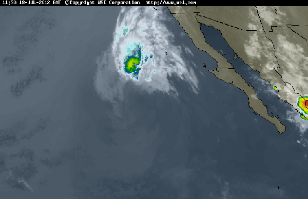 California GIF - Find on GIFER