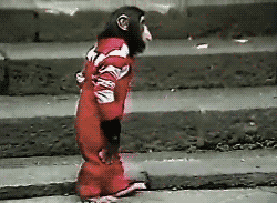Chimp GIF - Find on GIFER