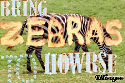 Eating animals zebra GIF - Find on GIFER