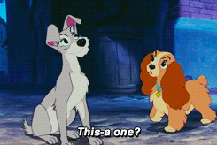 Lady and the tramp GIF - Find on GIFER