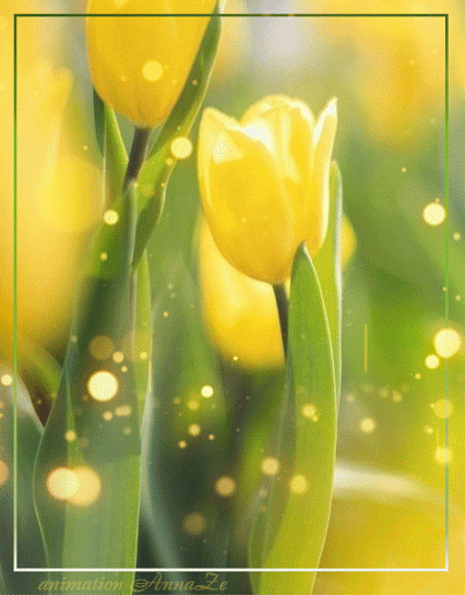 Гифка цветы флора гиф картинка, скачать анимированный gif на GIFER