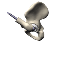 Hip GIF - Find on GIFER