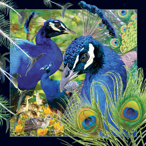 Lenticular GIF - Find on GIFER