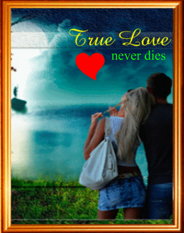 True GIF - Find on GIFER