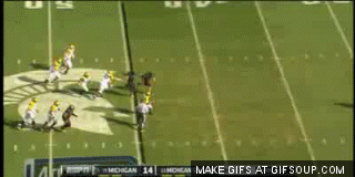 Michigan wolverines GIF - Find on GIFER
