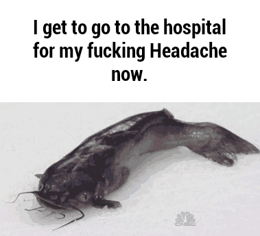 Headache GIF - Find on GIFER