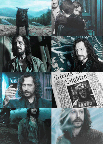 Sirius black GIF - Find on GIFER