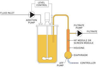 Cfb GIF - Find on GIFER