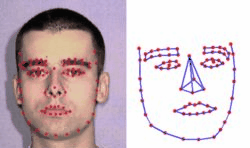 GIF shiba low poly lowpoly - animated GIF on GIFER