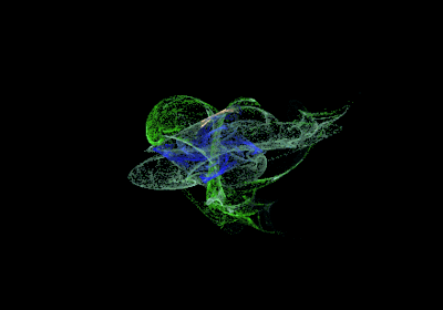 Fractals GIF - Find on GIFER