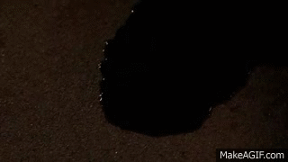 Tv series GIF - Find on GIFER