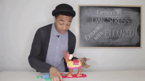 Exam GIF - Find on GIFER