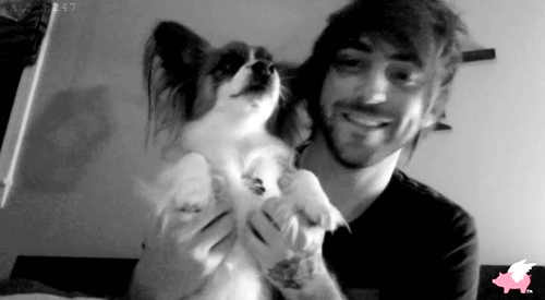 Alex GIF - Find on GIFER