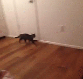 Boo GIF - Find on GIFER