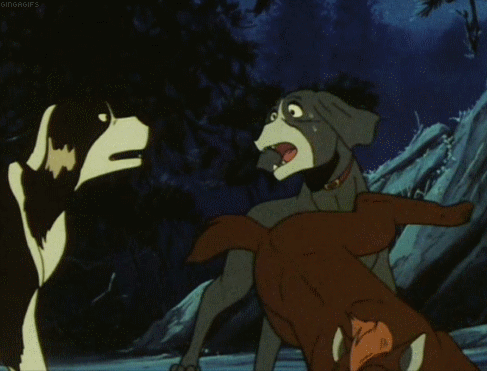 Ginga nagareboshi gin GIF - Find on GIFER