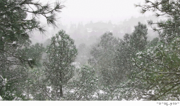 Snowing GIF - Find on GIFER