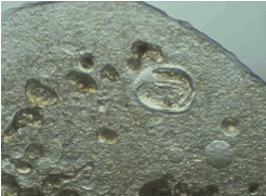 Rock moving rotating GIF - Find on GIFER