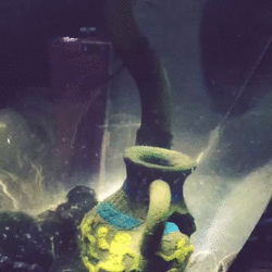 GIF apple name minion - animated GIF on GIFER