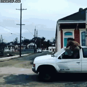 GIF steph curry stephen curry dunk - animated GIF on GIFER