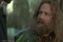 Check it out GIF - Find on GIFER